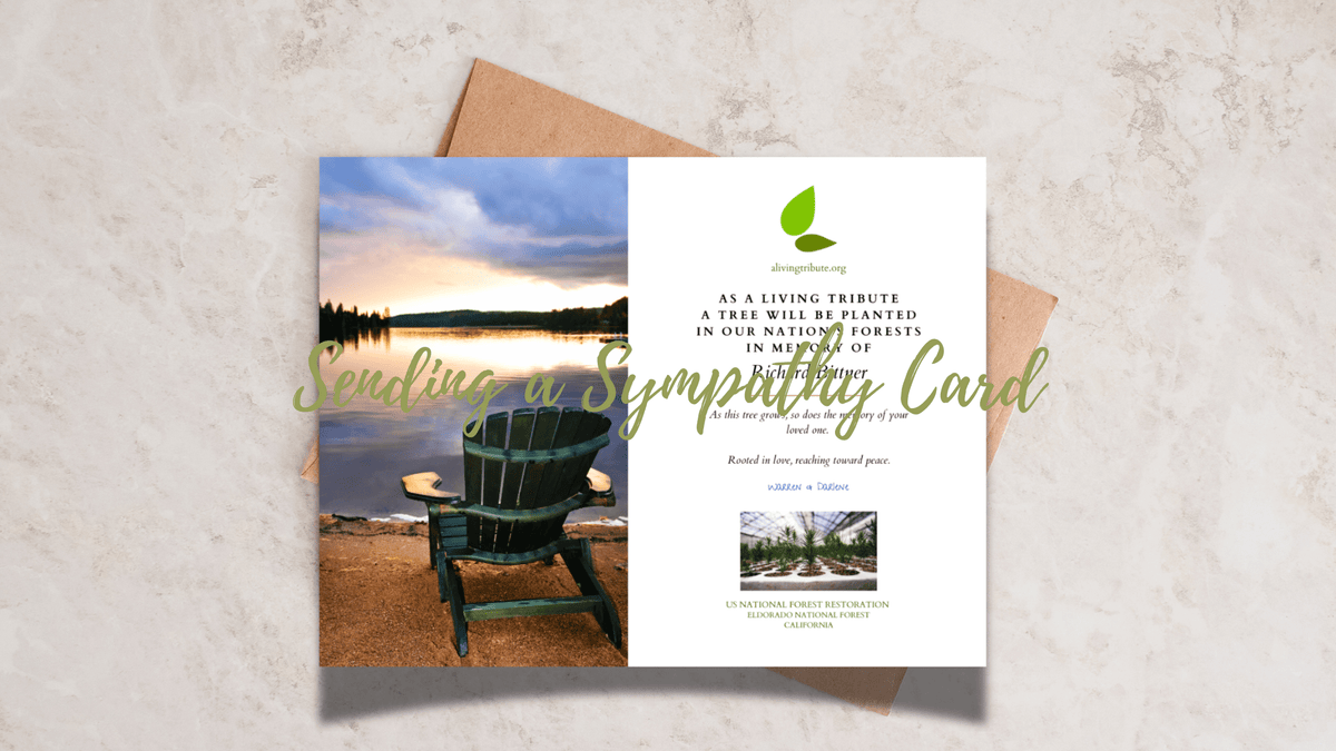 Send a Sympathy Card That Plants a Tree | A Living Tribute