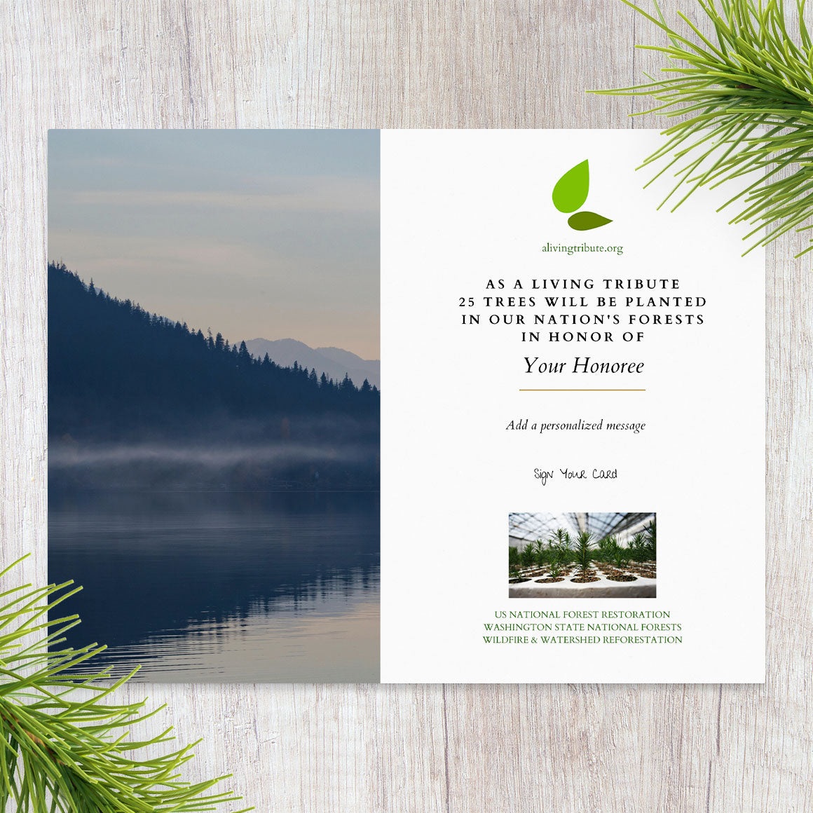 Plant a Tree for Someone in Washington - Memorial & Tribute Trees | A ...