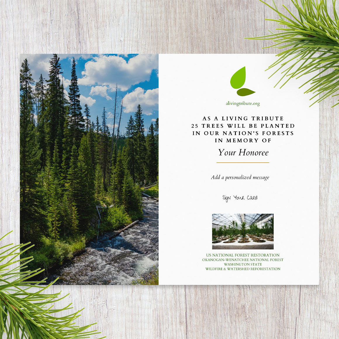 Plant a Tree for Someone in Washington - Memorial & Tribute Trees | A ...