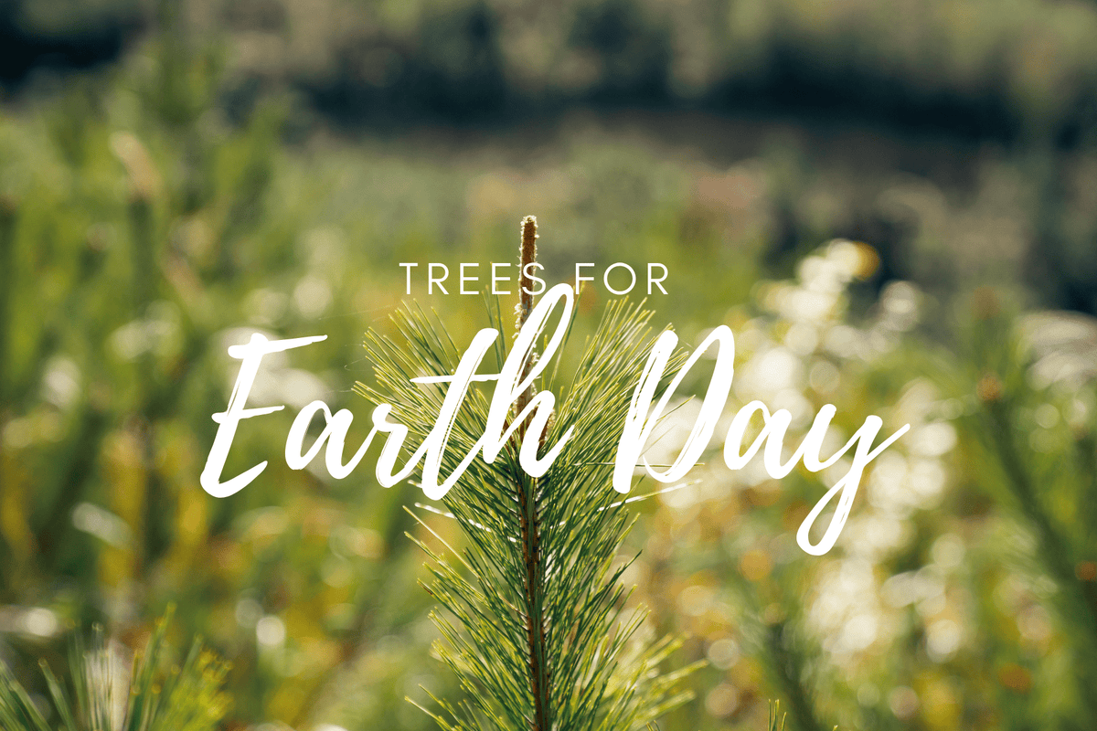 Plant a Tree for Earth Day 2025 - A Living Tribute | A Living Tribute