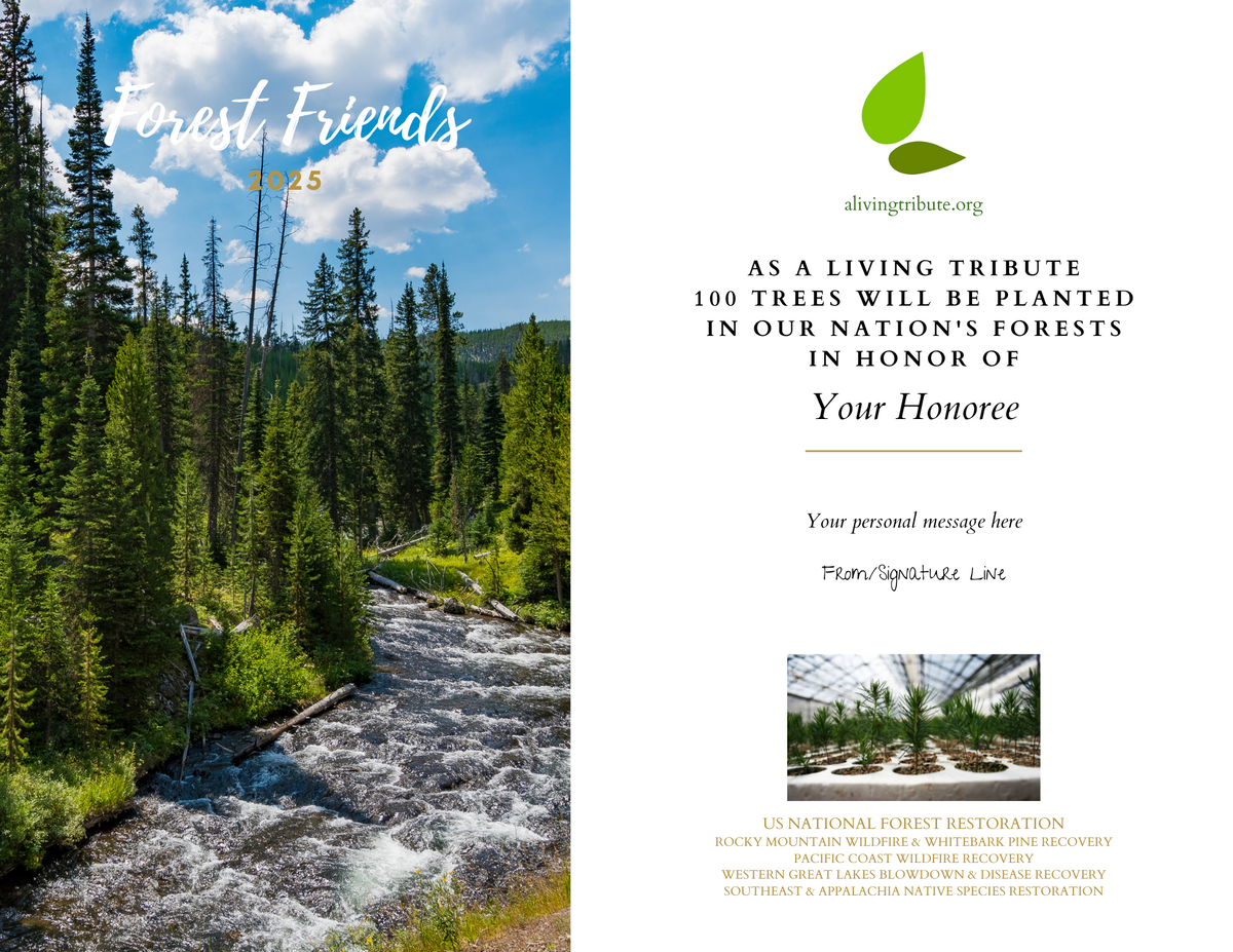 Forest Friends Tree Gift - A Living Tribute | A Living Tribute