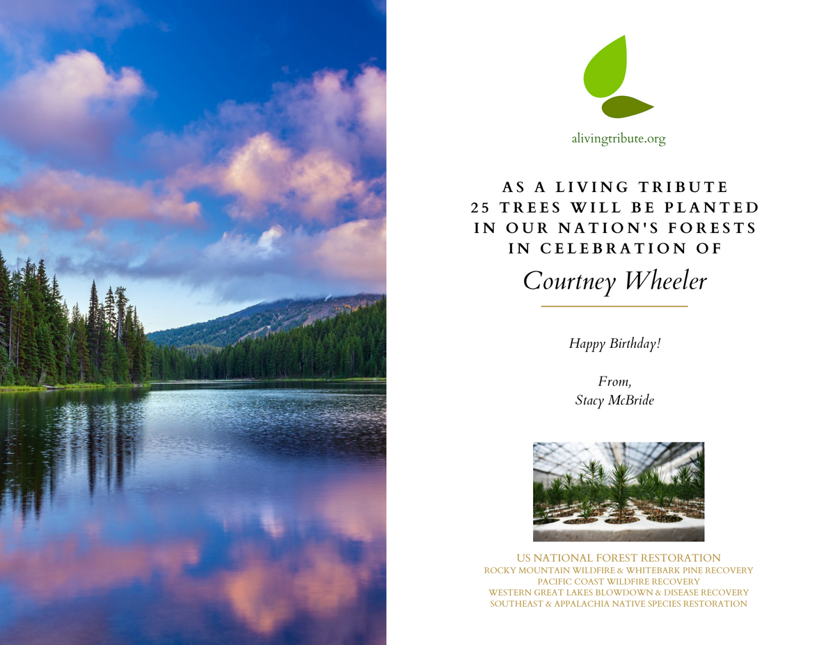 Plant a Tree for Birthday Gift - A Living Tribute | A Living Tribute
