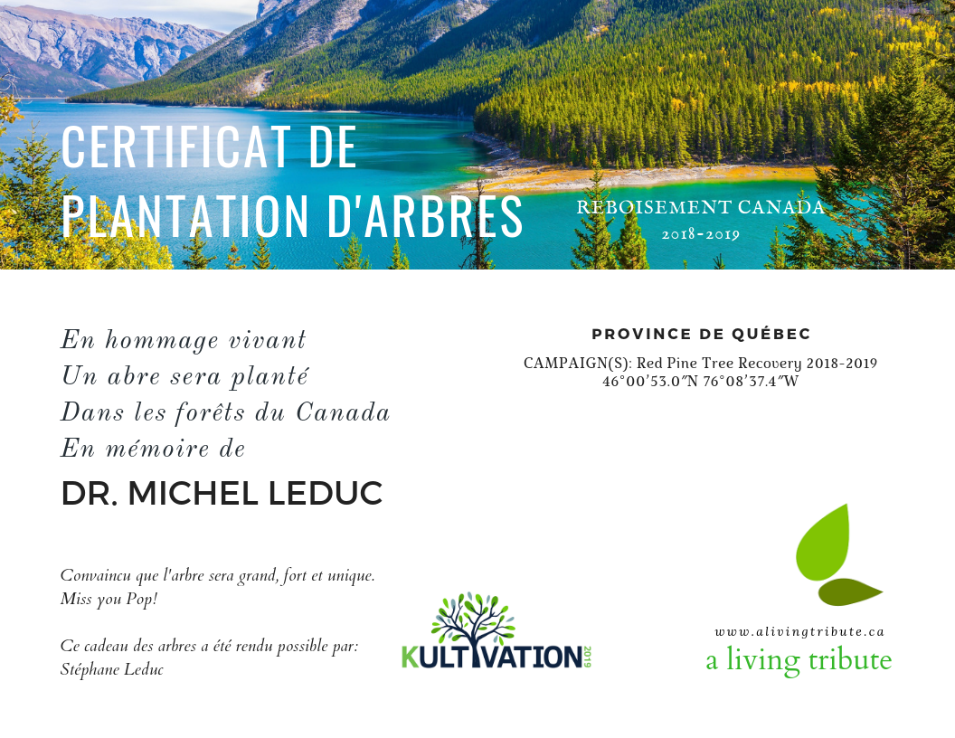 Plant a Tree in Canada with Personalized E-Certificate | A Living Tribute