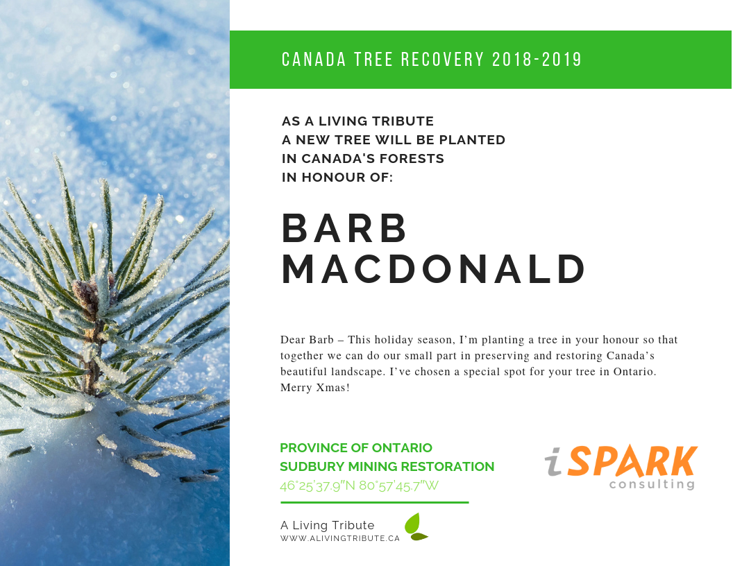 Plant a Tree in Canada with Personalized E-Certificate | A Living Tribute